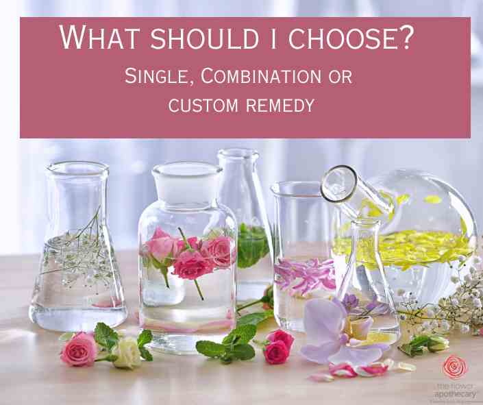 How to Choose: Single or Combo Flower Essences for Your Healing Journe ...